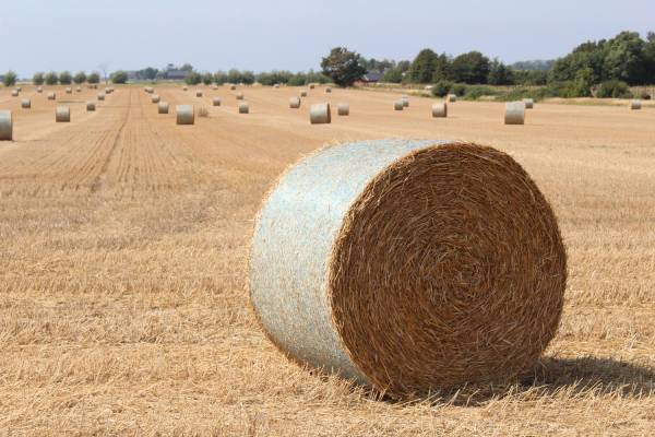 EU-projekt för att ta till vara mer av åkerns råvara | Lantmännen ...